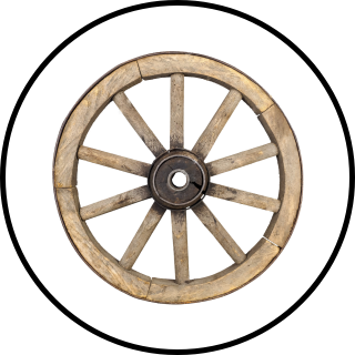 myron koops | Search Snapchat Creators, Filters and Lenses