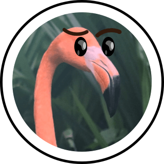 bird | Search Snapchat Filters and Lenses
