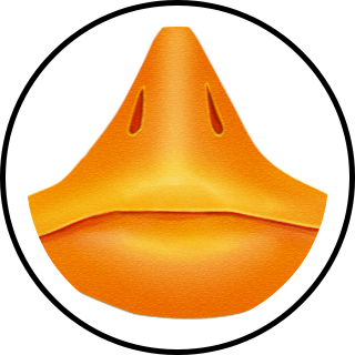 hailey | Search Snapchat Creators, Filters and Lenses