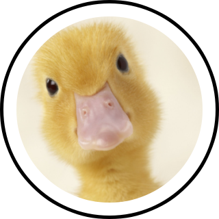 camille | Search Snapchat Creators, Filters and Lenses