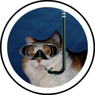 diver | Search Snapchat Creators, Filters and Lenses