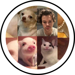animals | Search Snapchat Creators, Filters and Lenses