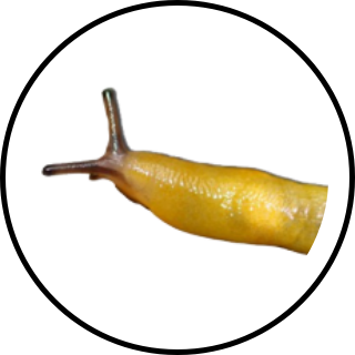 katie | Search Snapchat Creators, Filters and Lenses