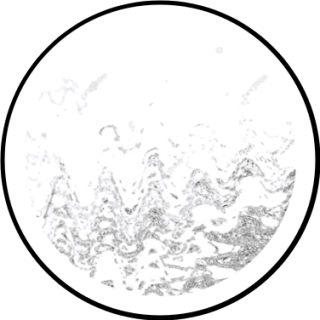 emori splash | Search Snapchat Creators, Filters and Lenses