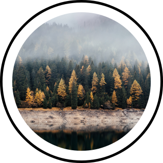 explore | Search Snapchat Creators, Filters and Lenses