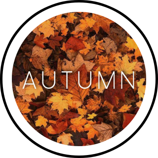 autumn | Search Snapchat Creators, Filters and Lenses