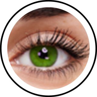 lens | Search Snapchat Filters and Lenses