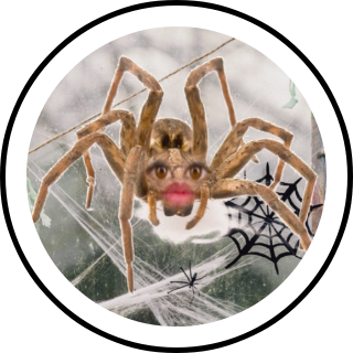 grace | Search Snapchat Creators, Filters and Lenses