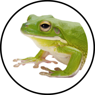 nia | Search Snapchat Filters and Lenses