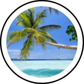 isaac | Search Snapchat Creators, Filters and Lenses