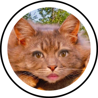 furry | Search Snapchat Creators, Filters and Lenses