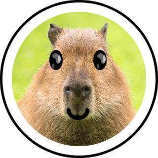 face_insert | Search Snapchat Creators, Filters and Lenses