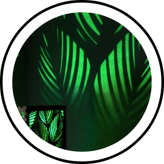 jay | Search Snapchat Creators, Filters and Lenses