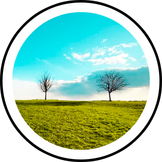 max | Search Snapchat Filters and Lenses