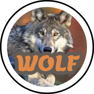 wolf | Search Snapchat Creators, Filters and Lenses