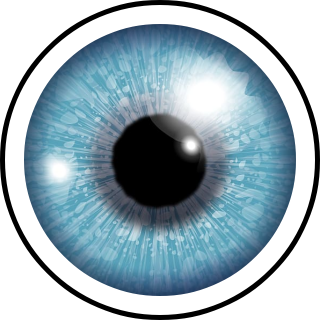 lens | Search Snapchat Filters and Lenses