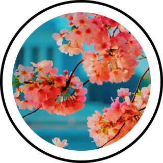 vsco | Search Snapchat Creators, Filters and Lenses