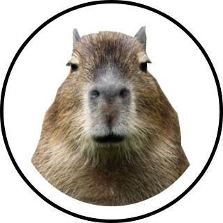 capy | Search Snapchat Creators, Filters and Lenses