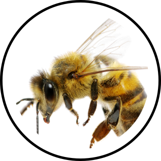 owen | Search Snapchat Creators, Filters and Lenses