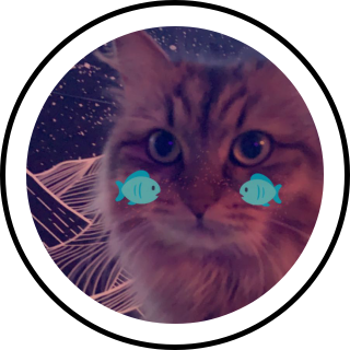 angie | Search Snapchat Filters and Lenses