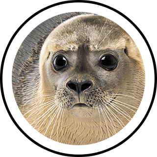 derpy | Search Snapchat Creators, Filters and Lenses