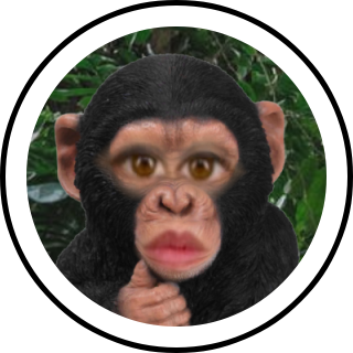 monkey | Search Snapchat Creators, Filters and Lenses