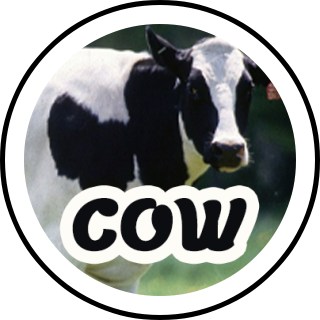 cow | Search Snapchat Filters and Lenses
