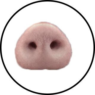 face | Search Snapchat Filters and Lenses