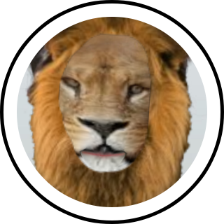 nico | Search Snapchat Creators, Filters and Lenses