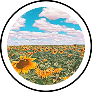 coloring | Search Snapchat Creators, Filters and Lenses