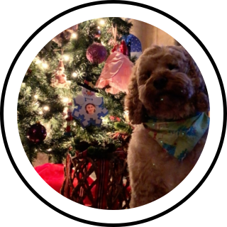 olivia | Search Snapchat Filters and Lenses