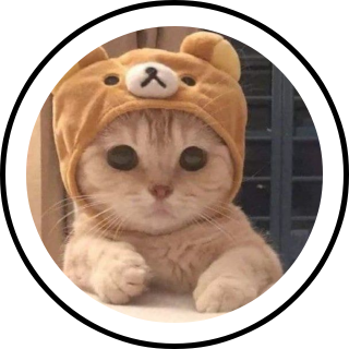 discord | Search Snapchat Creators, Filters and Lenses