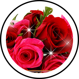 melissa | Search Snapchat Creators, Filters and Lenses