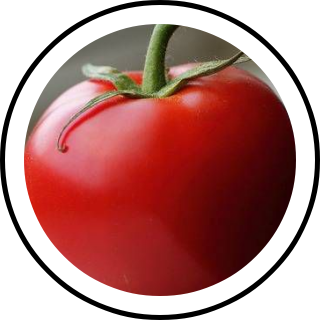 tom | Search Snapchat Filters and Lenses