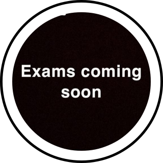 exam | Search Snapchat Creators, Filters and Lenses
