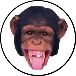 monkey | Search Snapchat Creators, Filters and Lenses