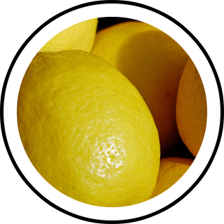lemon | Search Snapchat Creators, Filters and Lenses