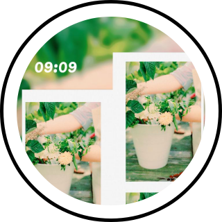flower | Search Snapchat Creators, Filters and Lenses