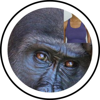monkey | Search Snapchat Creators, Filters and Lenses