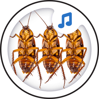 dance | Search Snapchat Creators, Filters and Lenses