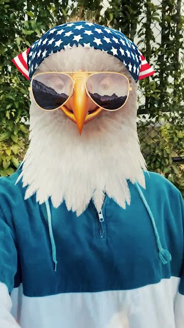 bird | Search Snapchat Creators, Filters and Lenses