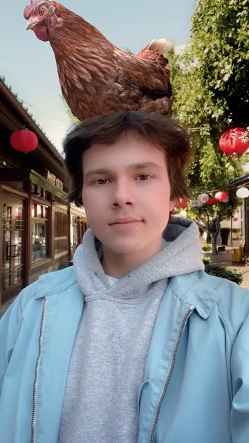 chicken | Search Snapchat Filters and Lenses