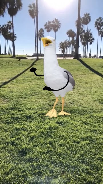 bird | Search Snapchat Creators, Filters and Lenses