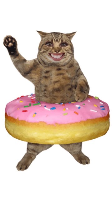 donut | Search Snapchat Creators, Filters and Lenses