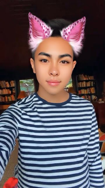 fox | Search Snapchat Creators, Filters and Lenses