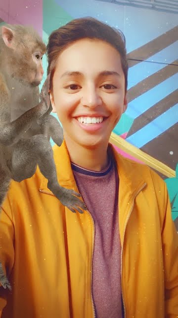 animal | Search Snapchat Filters and Lenses