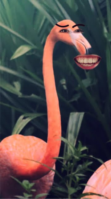 flappybird | Search Snapchat Creators, Filters and Lenses