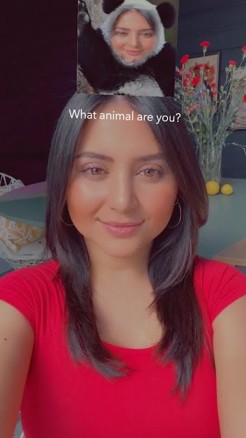 animal_on_snap | Search Snapchat Creators, Filters and Lenses