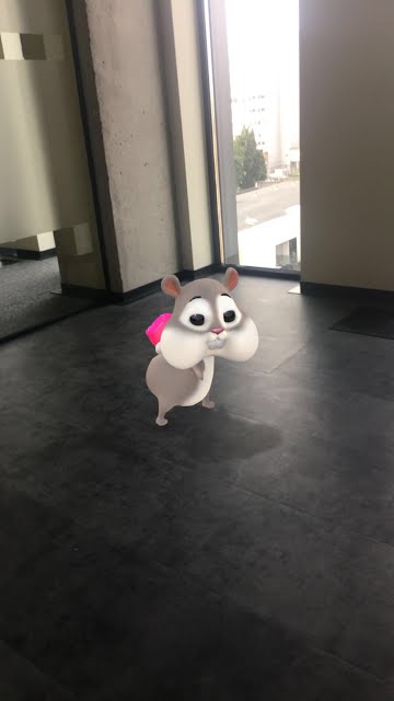 hamster | Search Snapchat Creators, Filters and Lenses