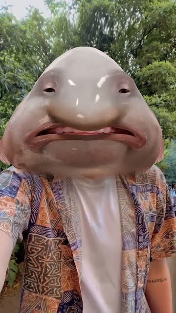 snapcht | Search Snapchat Creators, Filters and Lenses